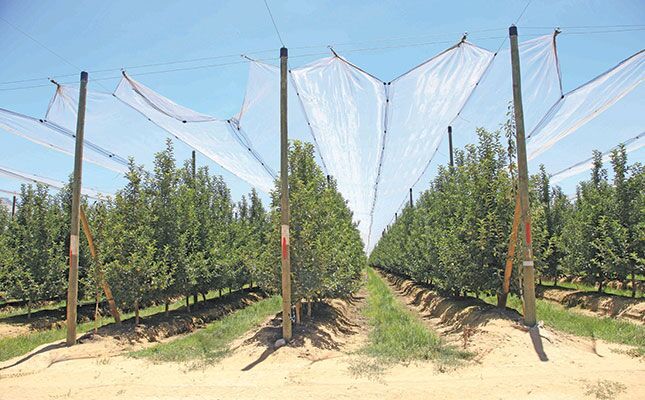 The costs and pitfalls of buying nets - Crop Shade